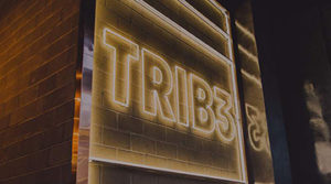 Studios - TRIB3